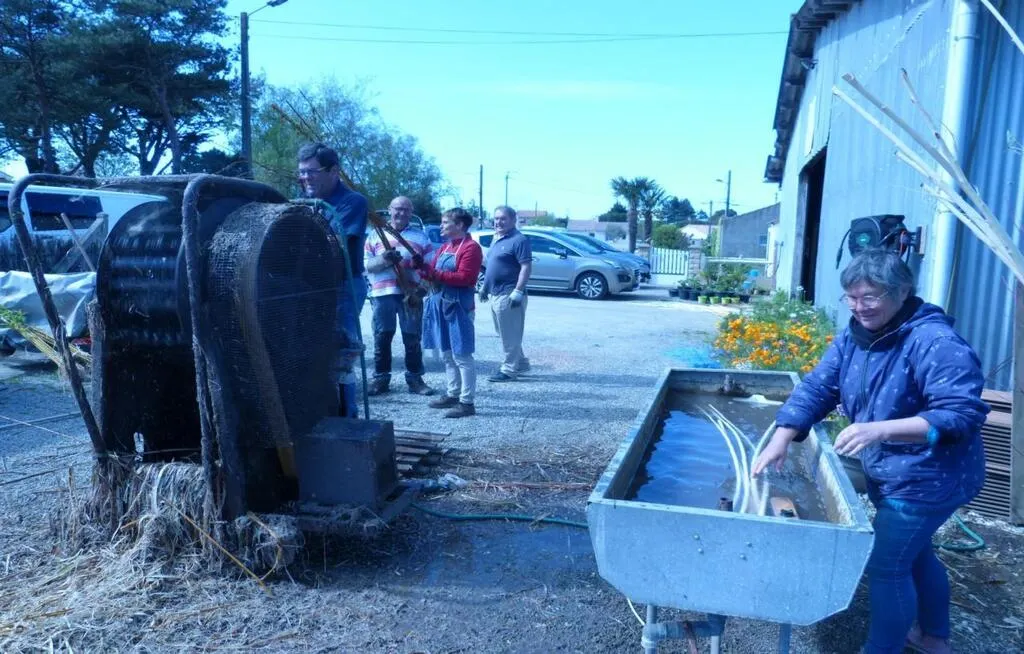 La Bernerie-en-Retz. La machine à peler l’osier appréciée - Saint ...