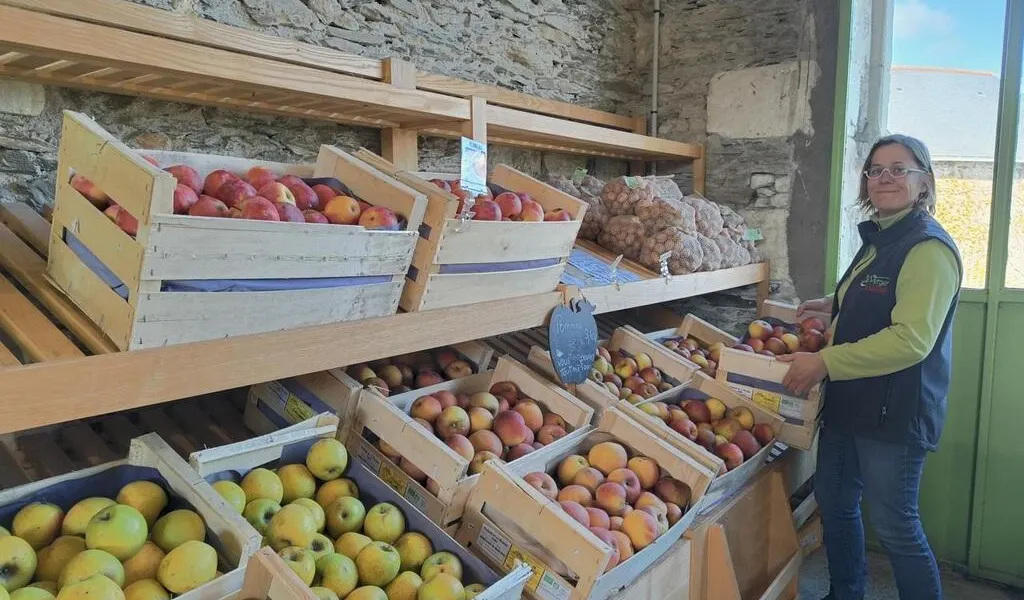 Près d’Angers, en trente ans, leur magasin de producteurs a bien grandi ...