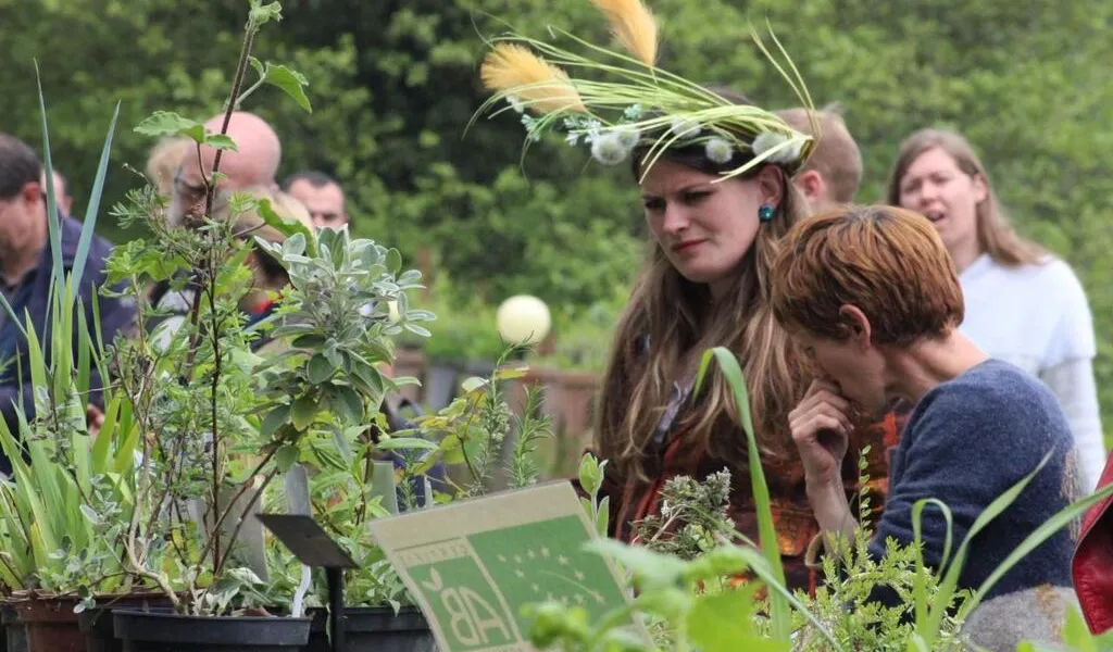 Bazouges-la-Pérouse. La Fête de la nature, vivier de bonnes pratiques au naturel - Fougères ...