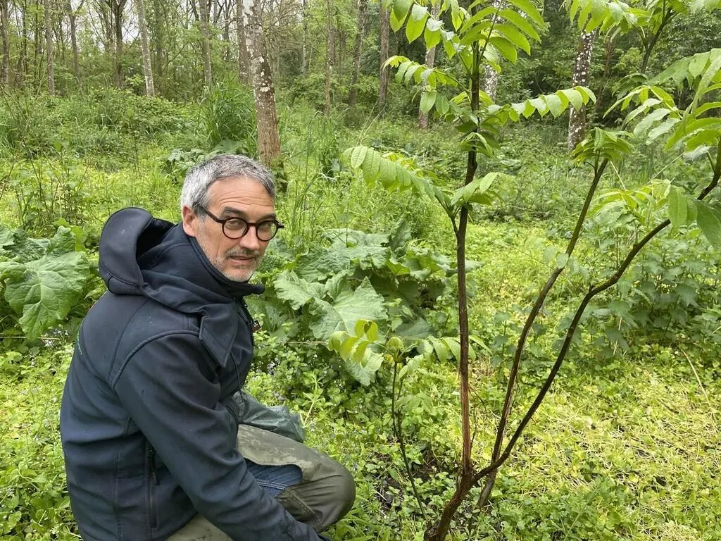 Hubert Guillais, l’homme aux 20 000 noyers - Le Mans.maville.com