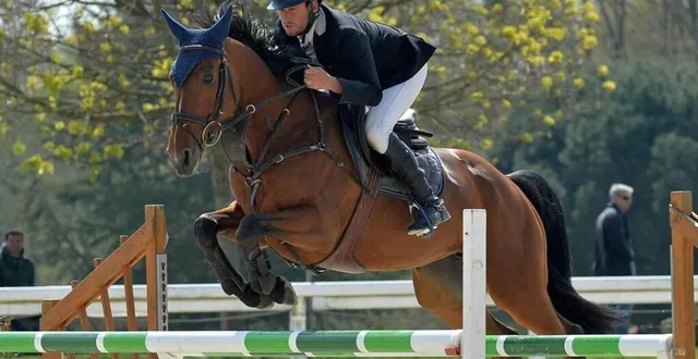 Equitation. Quatre jours d’épreuves en continu au Pôle Européen du ...