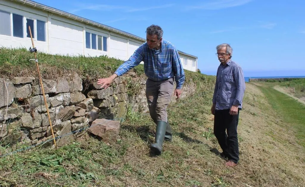 Les bénévoles restaurent le parapet du glacis de la Hougue - Cherbourg ...