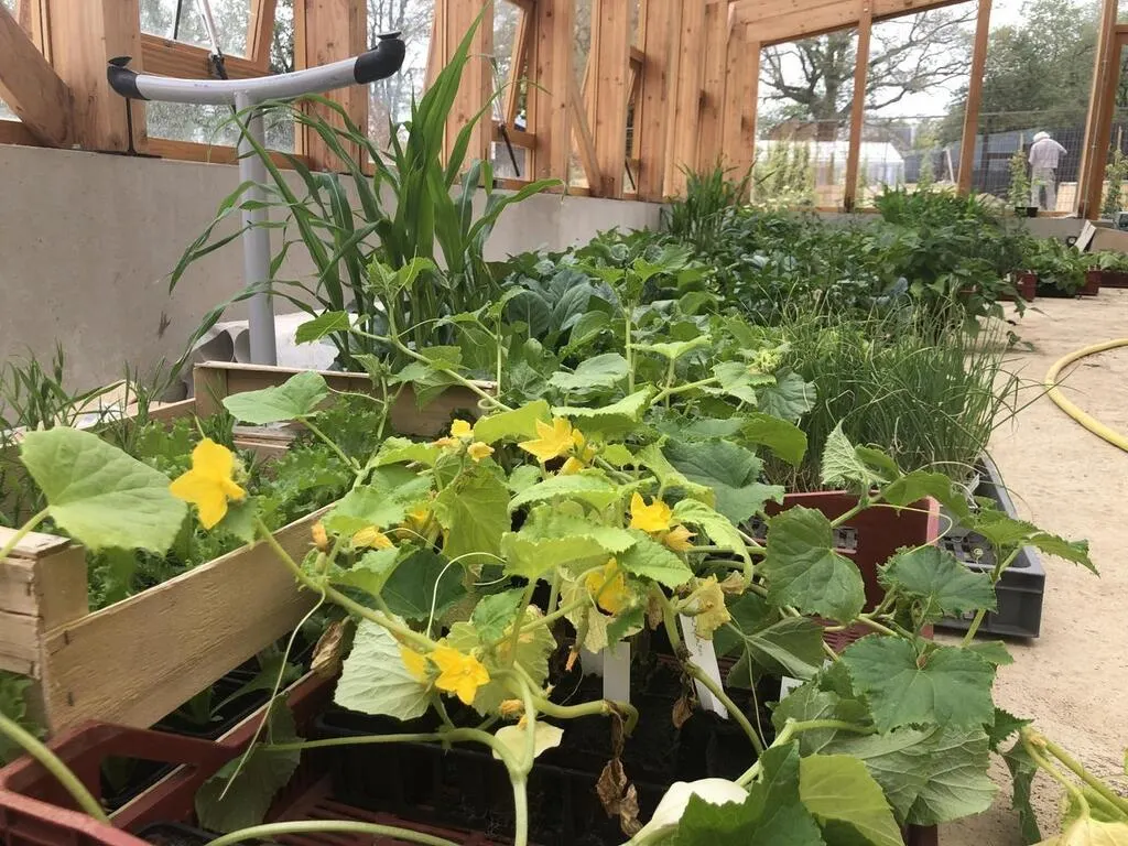 EN IMAGES. À La Roche-sur-Yon, le visage final du Potager ...