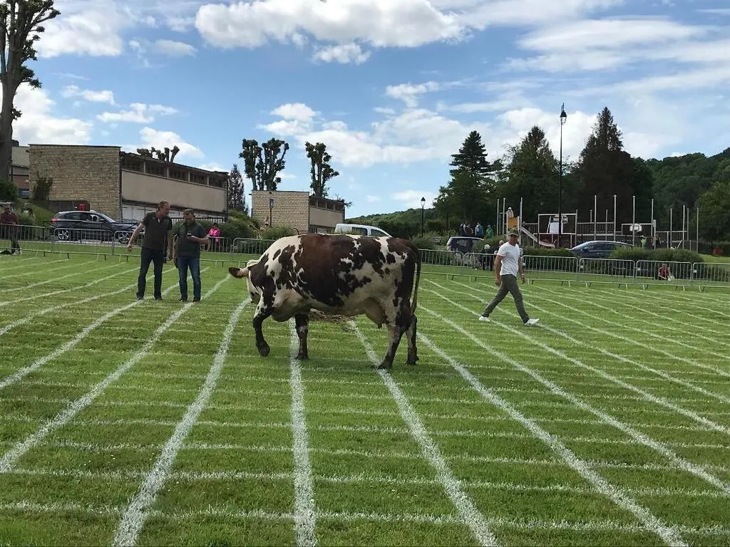 Blangy-le-Château. La deuxième édition du Loto bouse aura lieu dimanche ...