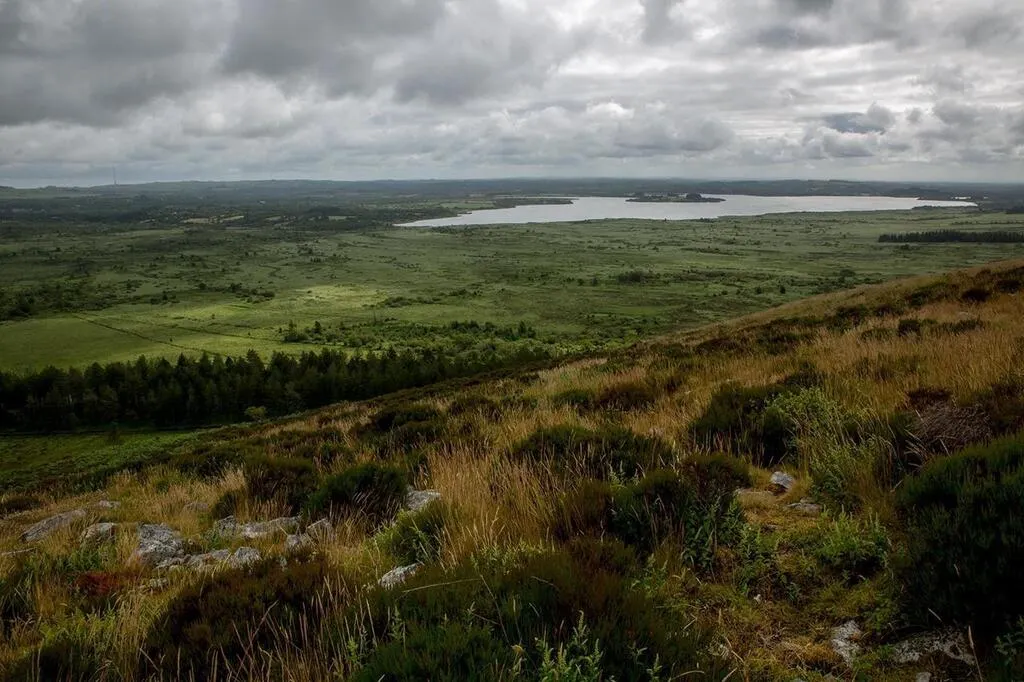 Au cœur du Finistère, la réserve naturelle du Venec voit sa surface ...