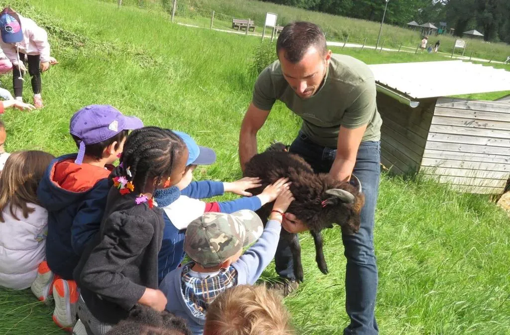 Carquefou. « La tondeuse ça fait du bruit, pas les moutons ! » - La ...