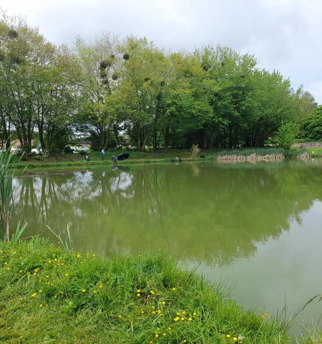 Souligné-Flacé. Fête de la pêche et bric-à-brac le 4 juin - Le Mans ...