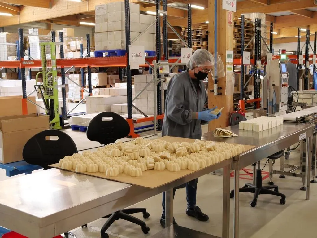 Lessonia, la pépite bretonne au service des plus grandes marques de ...