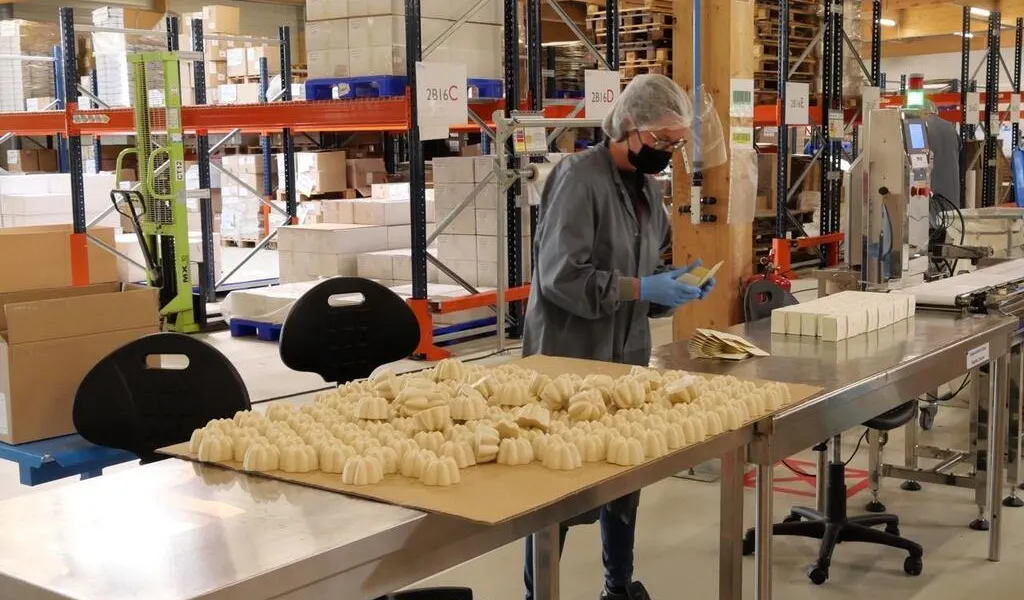 Lessonia, la pépite bretonne au service des plus grandes marques de ...