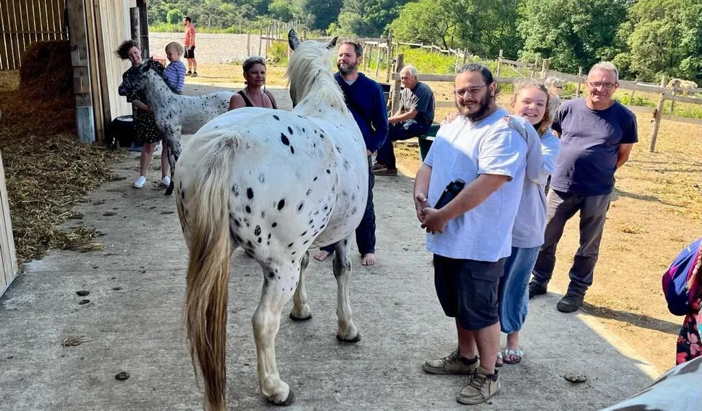 Le Vieux-Bourg. Au plus près des Appaloosa à Porz Rouz - Dinan.maville.com