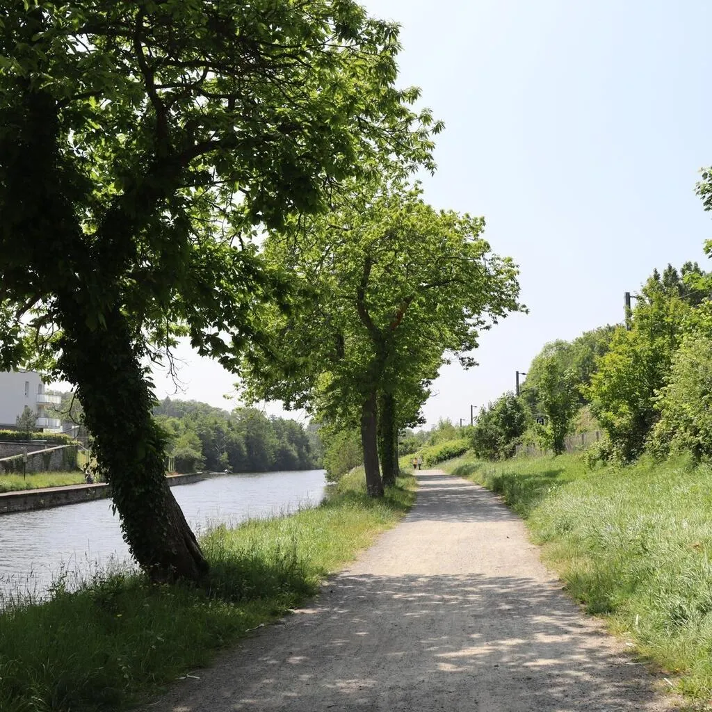 À Saint-Lô, une portion de la voie verte refaite avec un bitume végétal ...