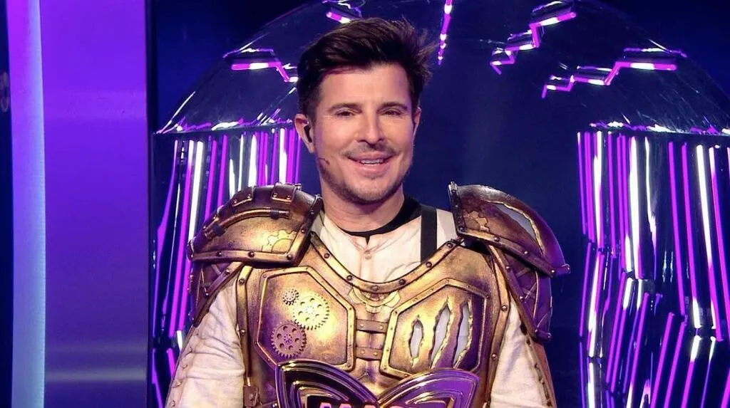 ENTRETIEN. Vincent Niclo, gagnant de « Mask Singer » : « J’avais des ...