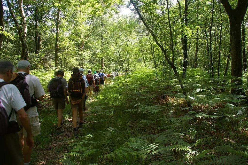 Cet été, 8 journées de randonnée pour découvrir la Mayenne à pied ...