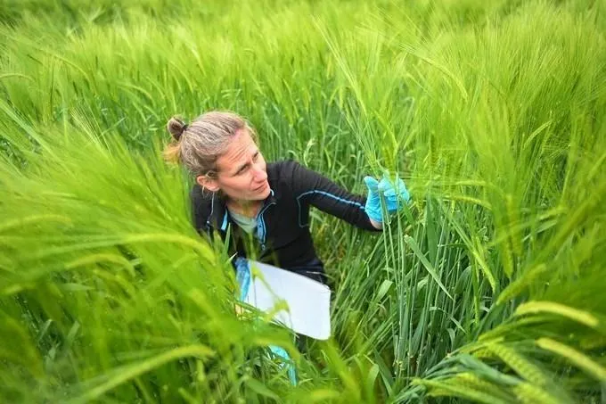 Les insectes bretons s’adaptent au réchauffement climatique, mais iront ...