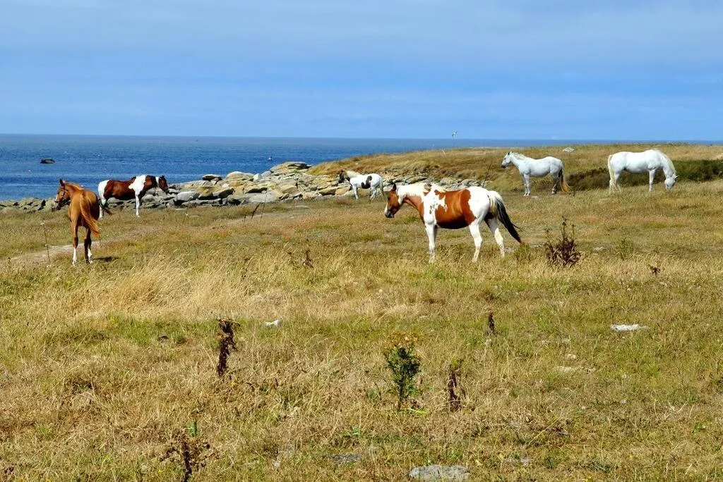 REPORTAGE. Côtes rocheuses, sable fin… On a testé la randonnée photo ...