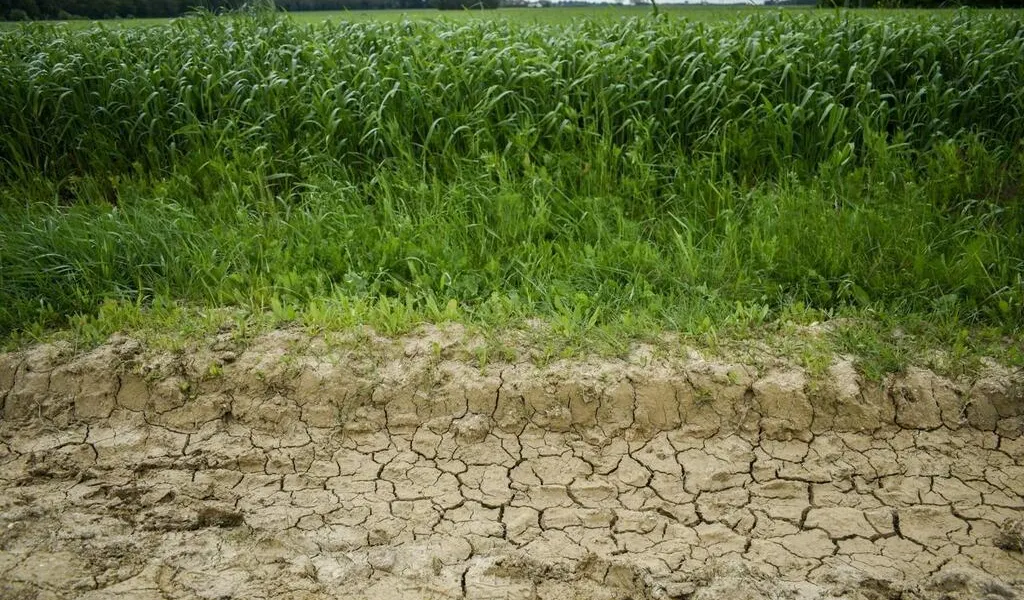 Les sols de la moitié nord de la France face à un « assèchement très ...