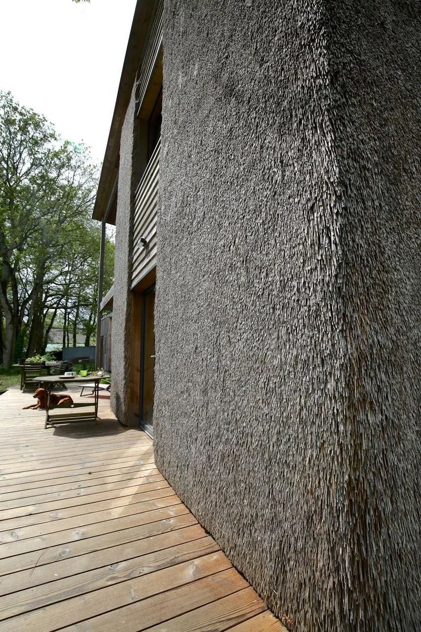 REPORTAGE. Cette architecte a fait le choix du roseau pour la ...