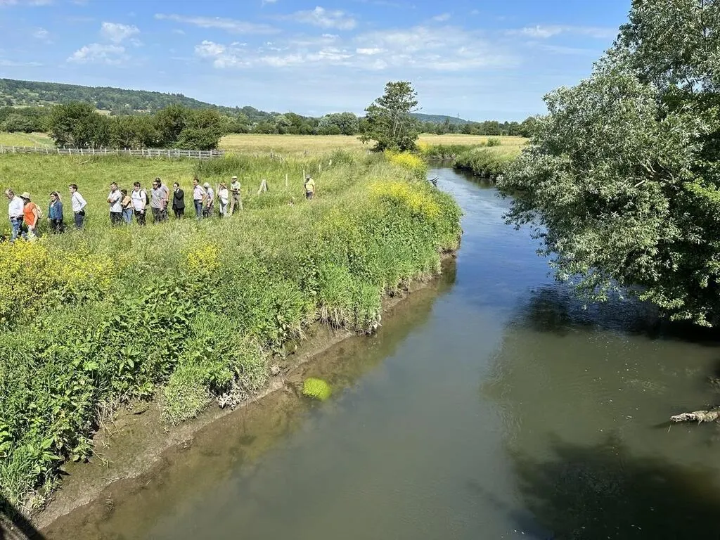 Les Marais de la Touques, pépite verte et bleue, est à découvrir aux ...