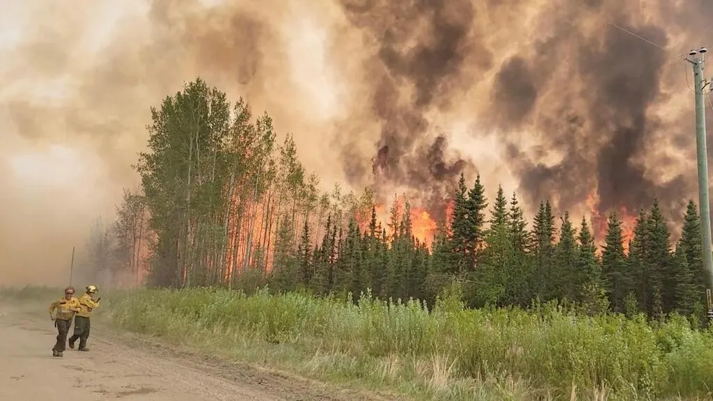 Incendies au Canada : trois chiffres sur les méga-feux de forêt qui ...
