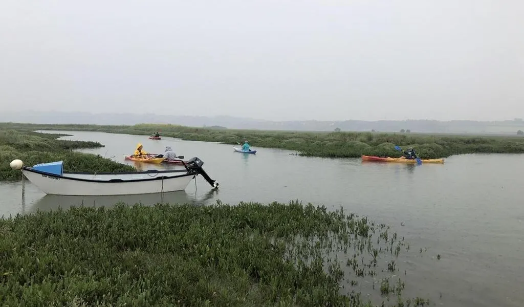 Pleudihen-sur-Rance. Nettoyage du Bas-Champ : une action citoyenne de ...