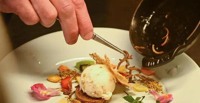 On a goûté des plats gastronomiques à base d’insectes… et on ne ...