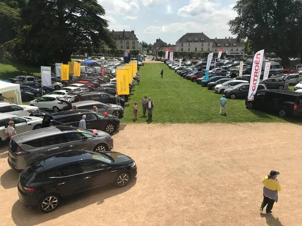 Kayak polo, salon de l’auto, musique... Que faire ce week-end à Falaise et ses alentours ...