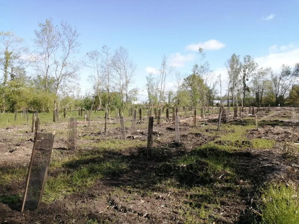 Cornillé-les-Caves. La Fromagerie Tessier s’engage pour la biodiversité ...