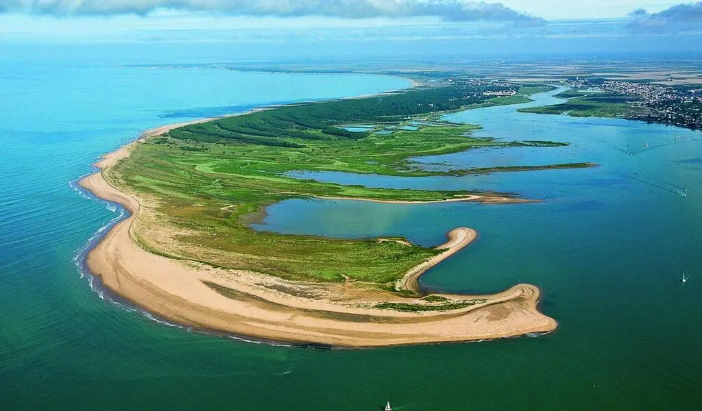 Du passage du Gois à la pointe d’Arçay : en Vendée, l’itinéraire de la ...