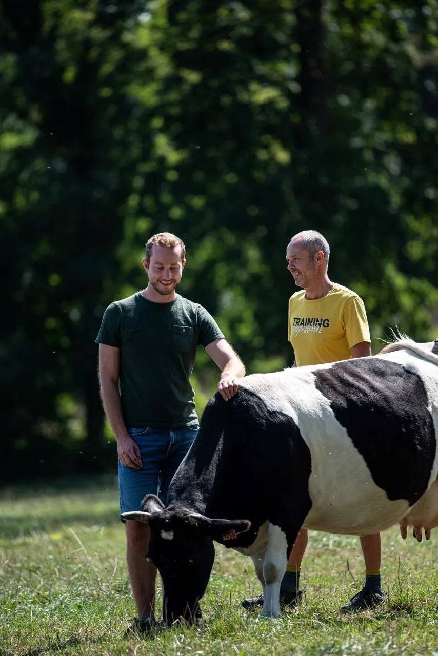 REPORTAGE. Cette ferme produit du gwell, le « yaourt des Bretons » qui ...