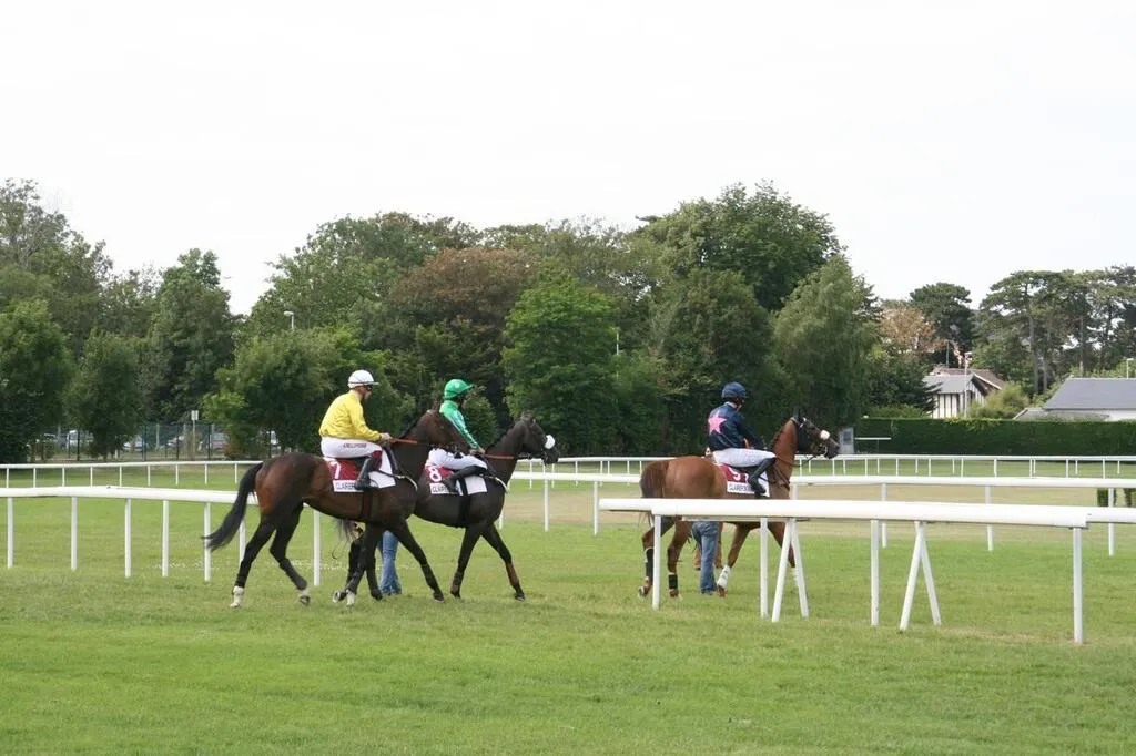 Deauville. Les secteurs équestre et hippique recrutent dans de nombreux ...