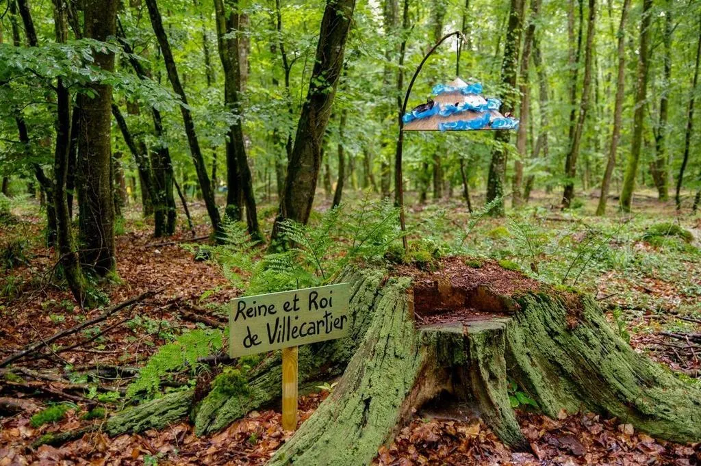 Bazouges-la-Pérouse. Un parcours ludique en forêt de Villecartier à ...