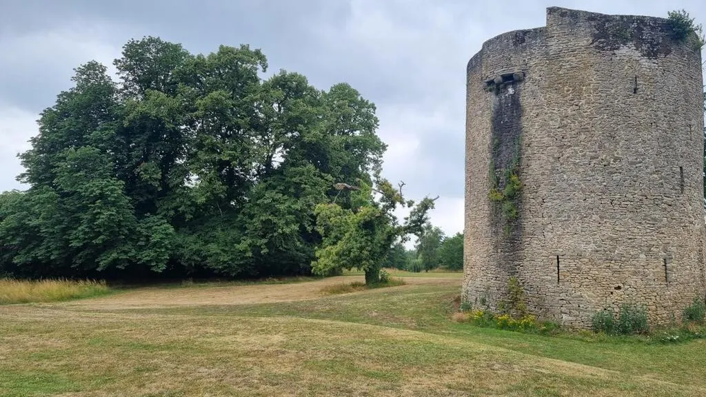 À Aron, le parc des Forges regorge d’arbres remarquables - Laval.maville.com