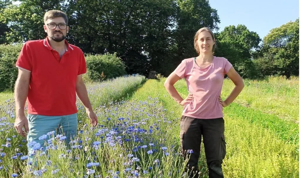Hédé-Bazouges. À la découverte de plantes aromatiques - Vitré.maville.com