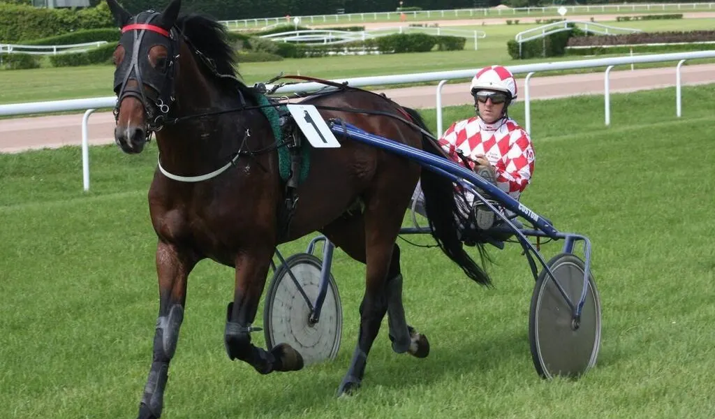 Hippisme. Privé de ses agréments, l’entraîneur de trotteurs saisit le ...