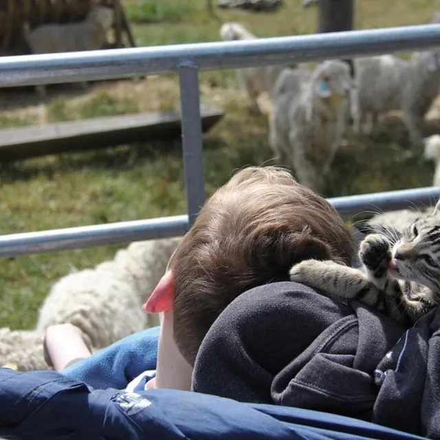Laval. À l’asinerie du Bois Gamats, les enfants polyhandicapés étaient ...