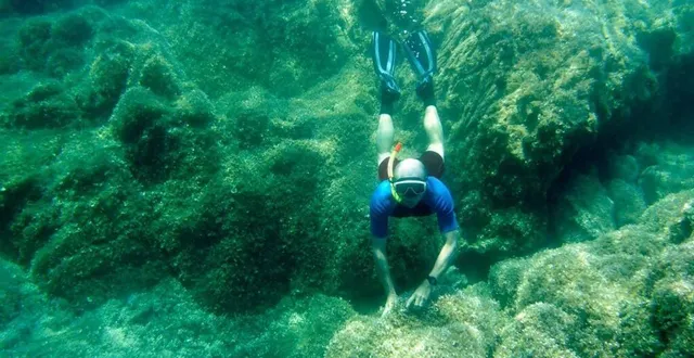 Natation. Un apnéiste survit à une attaque de requin aux Caraïbes ...