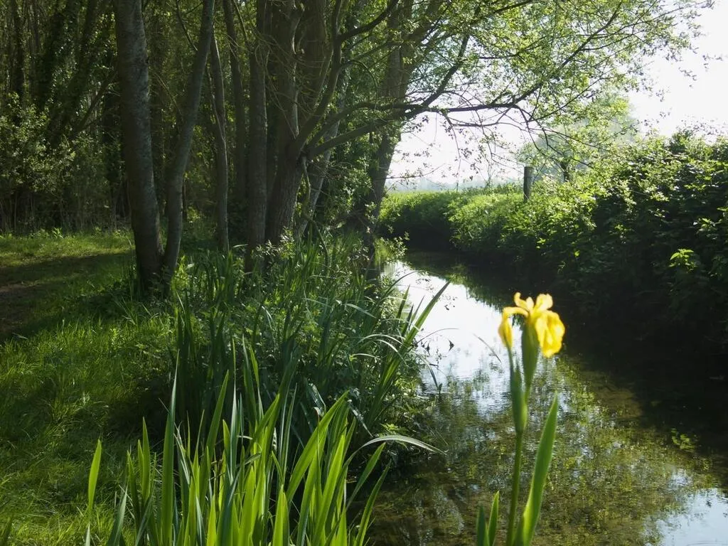 Vacances d’été à Colleville-Montgomery. Embarquez dans une balade entre ...