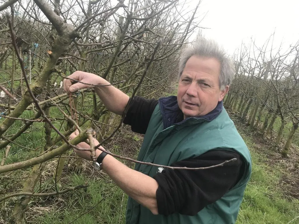 Arboriculture. « Ma plus grande crainte, c’est l’eau » - La Baule ...