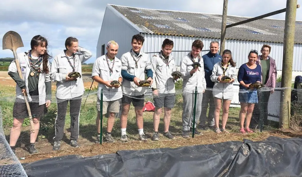 Au Folgoët, SOS tortues Bretagne a reçu le renfort de scouts savoyards ...