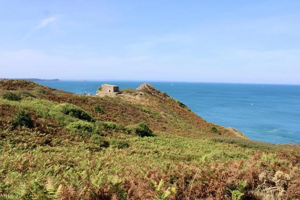 ENTRETIEN. Aux caps d’Erquy et de Fréhel, des espèces d’oiseaux ...