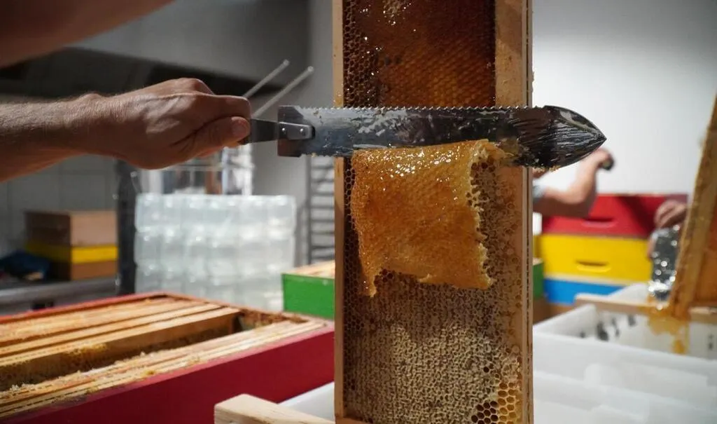 Bain-de-Bretagne. De la ruche au pot, du miel tout chaud distribué ...