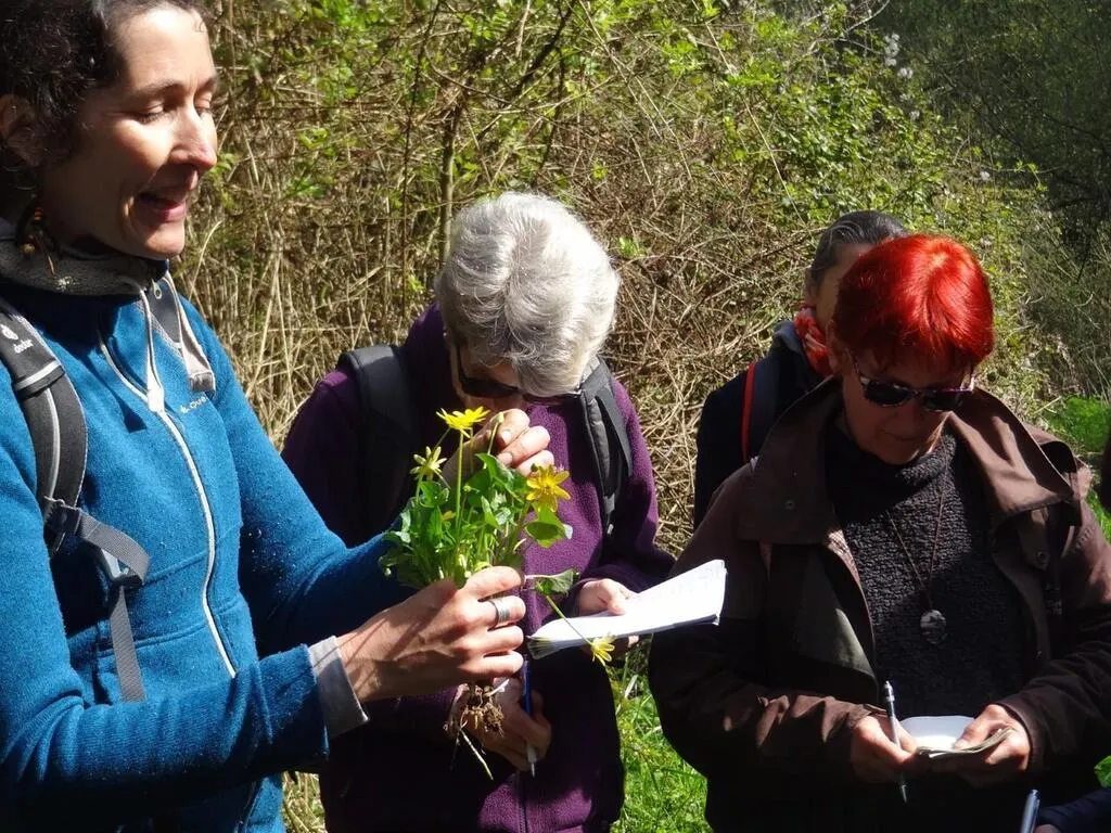 À Plouguenast-Langast, trois heures pour explorer et comprendre la ...
