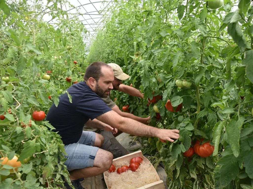 Chanteloup. Le Pré de la Rivière, seul magasin à la ferme du secteur ...