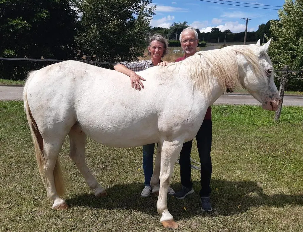 ENTRETIEN. « La magie des grands espaces » : ils ont randonné à cheval ...