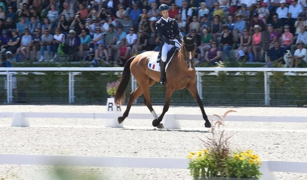 Équitation. La France septième au provisoire du Championnat d’Europe de ...