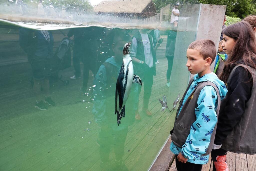 REPORTAGE. À la découverte du quotidien des soigneurs animaliers au zoo ... REPORTAGE. À la découverte du quotidien des soigneurs animaliers au zoo ...