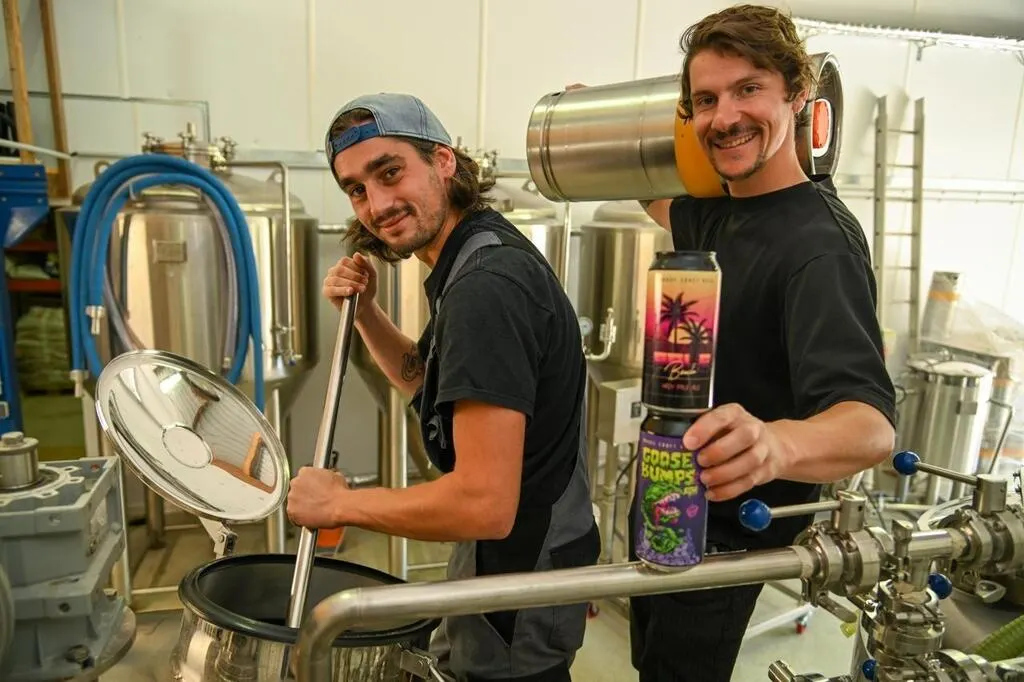 Maine-et-Loire. Tendance : avec Nuage, la bière artisanale continue de ...