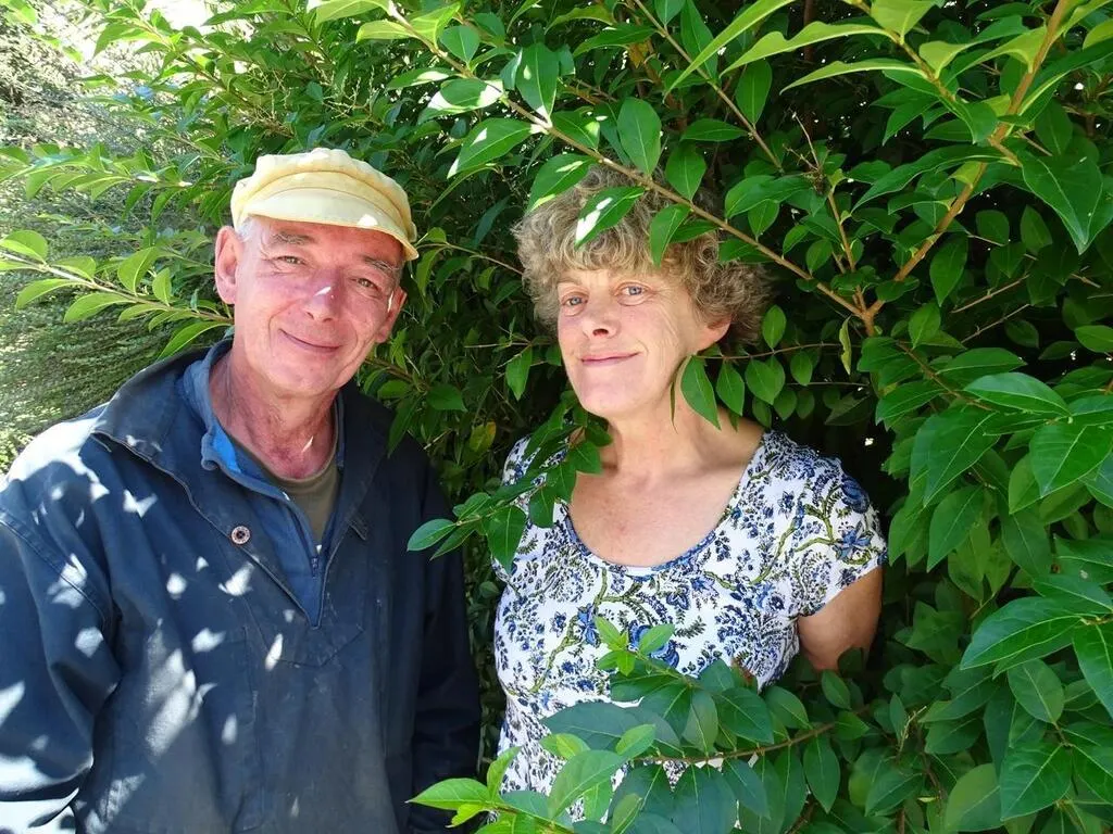 Saint-Jean-du-doigt. Kizekoi, une exposition pluridisciplinaire à la ...