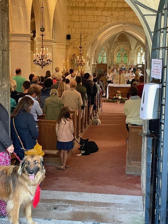 Venez bénir vos chiens à l’église de Reux pour la Fête de la Saint-Roch ... Venez bénir vos chiens à l’église de Reux pour la Fête de la Saint-Roch ...