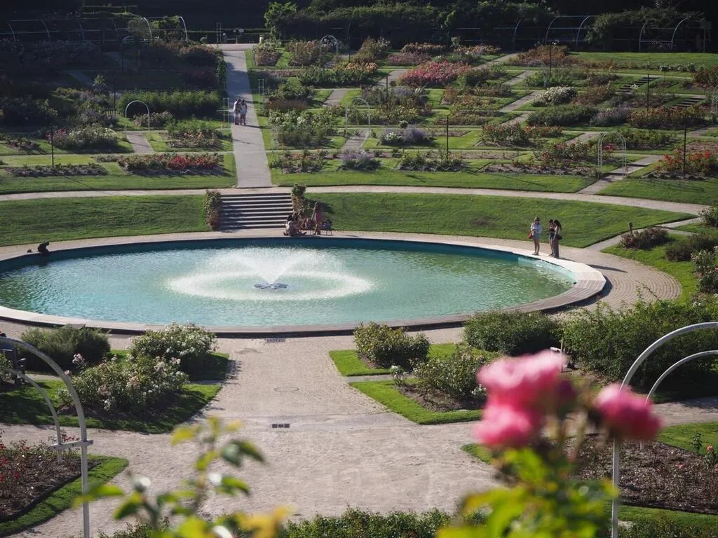 Pour ses 30 ans, la Colline aux Oiseaux va-t-elle accueillir un parc ...